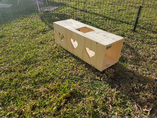 Rabbit tunnel – CNCathome